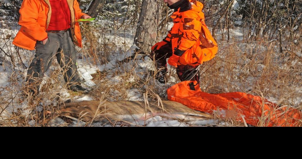 Patrick Durkin: Wisconsin deer data tells many tales