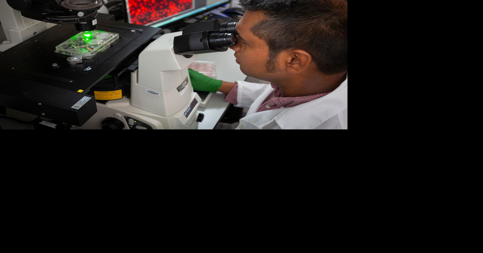 Building with biology to engineer effective therapies