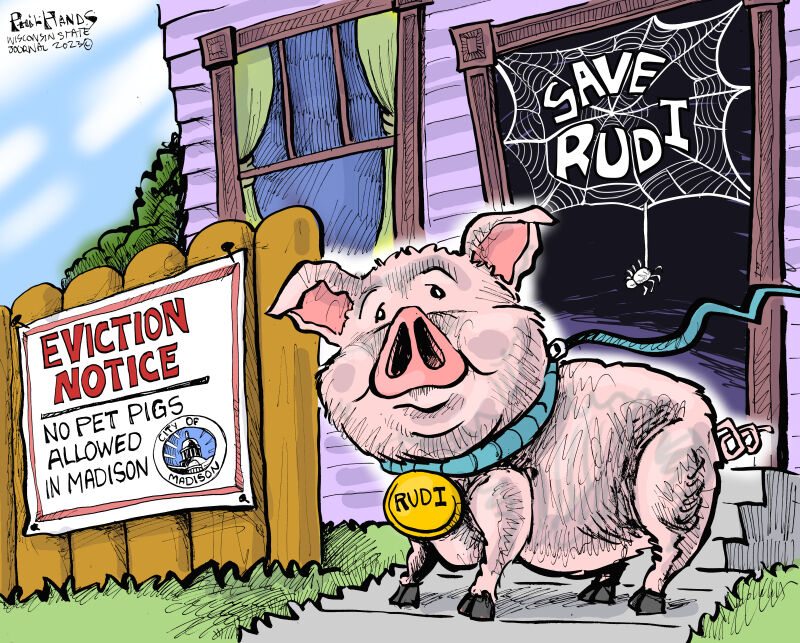 Rudi, the pet pig, is facing eviction by the city of Madison