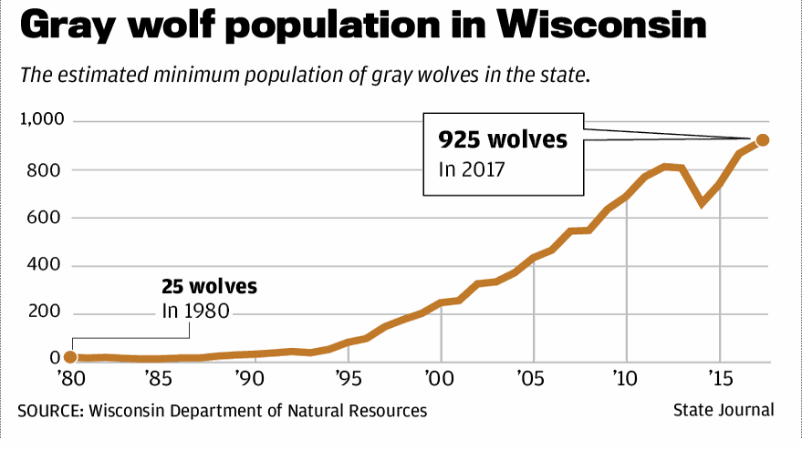 Gray wolf population in Wisconsin | | madison.com