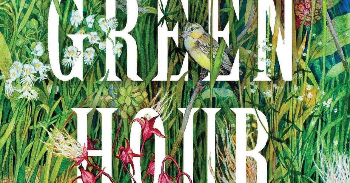 Author Q&A: Alison Townsend mines the beauty and mystery of nature, a ...