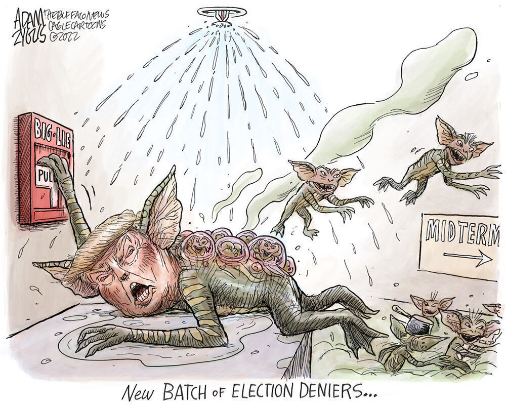 Political Cartoons 2022 Election