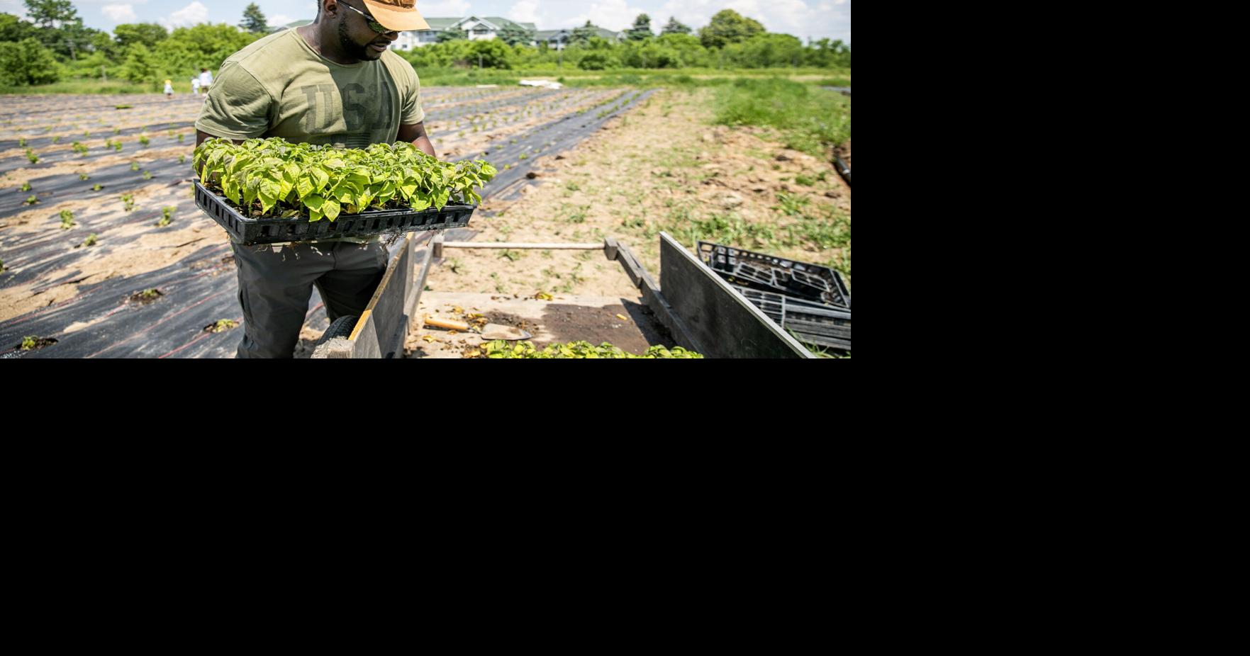 Liberian farmer grows rare hot peppers in Madison