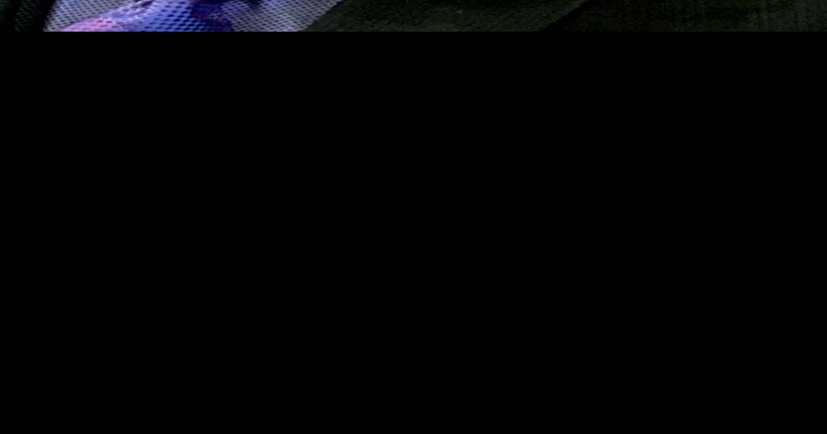 Fein, Leonard Steven