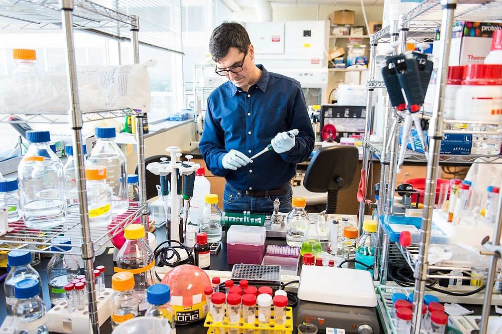 Tech and Biotech: Funding for Invenra and Markable; Cellectar's founder ...