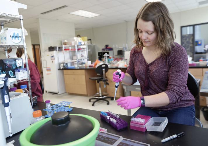 From poet and ski bum to disease fighter: Roland Green