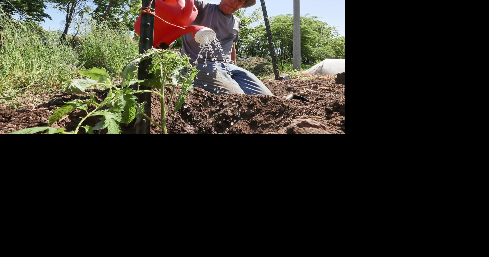 Madison asks residents to limit outdoor water use