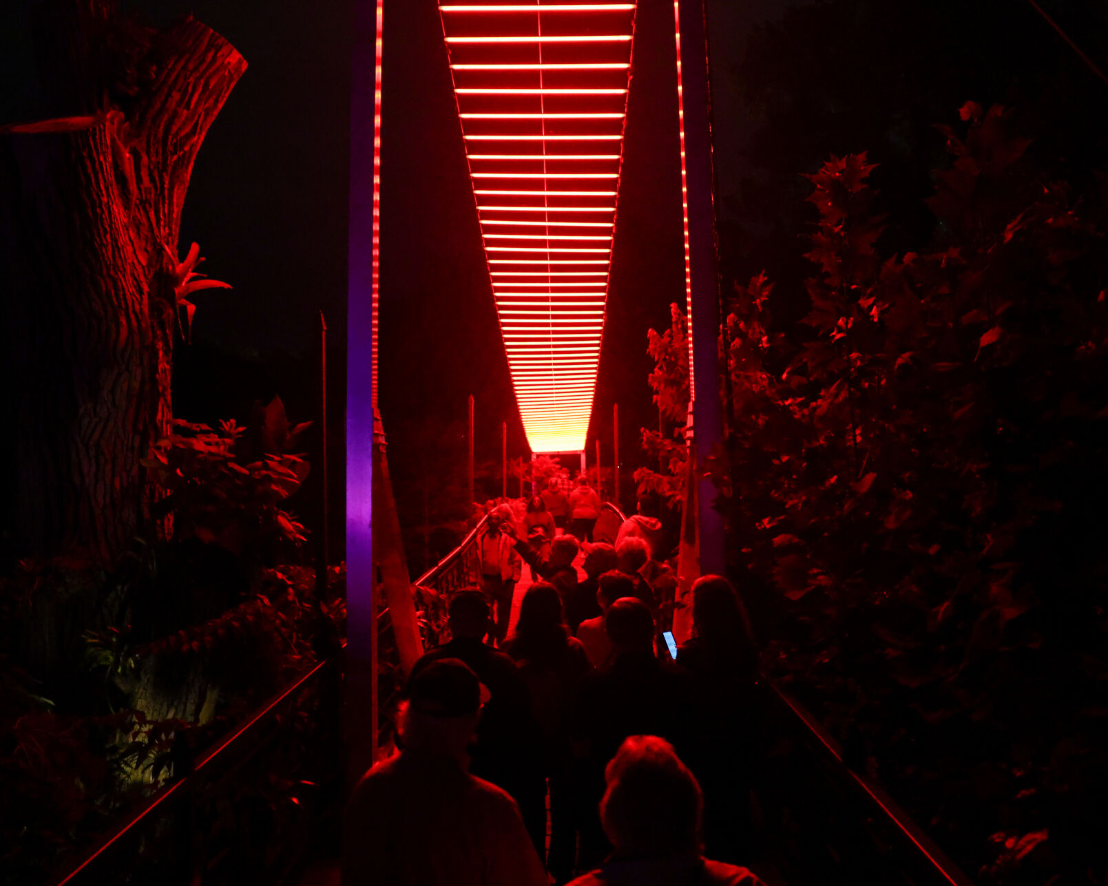 Photos: GLEAM returns to Olbrich Botanical Gardens