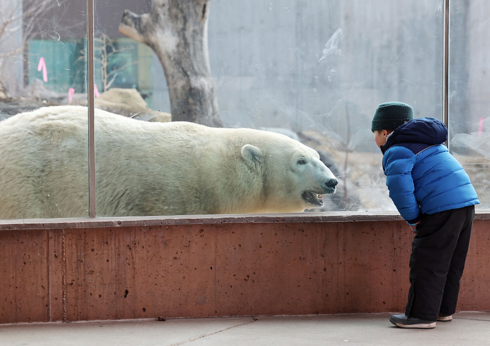 Photo of the day: Welcome Nora