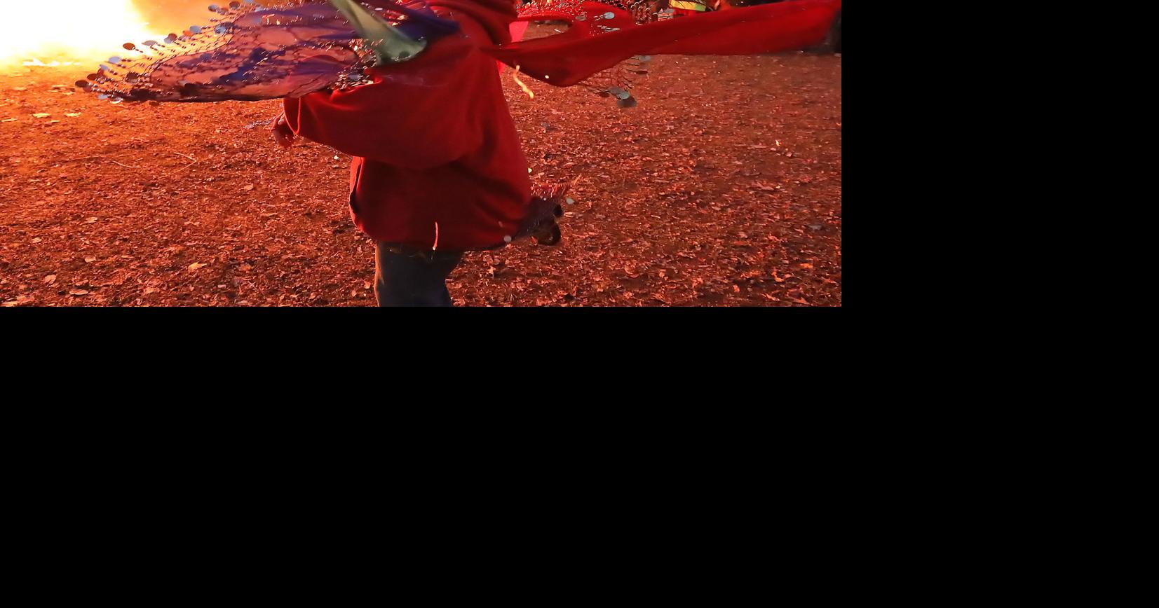 Photos: Winter Solstice Bonfire at Olbrich Park