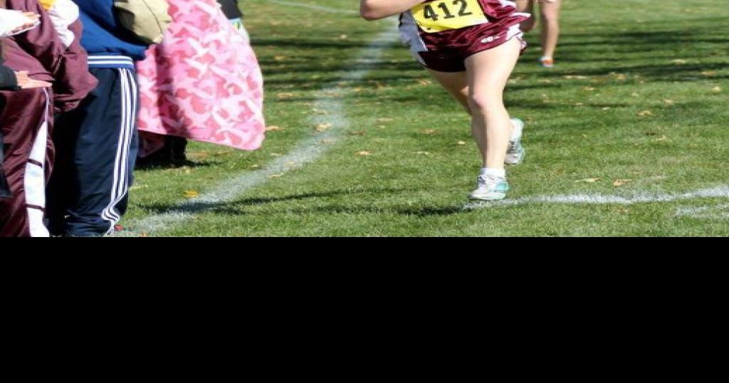 WIAA Division 2 cross country: Madison Edgewood girls, Monroe boys ...