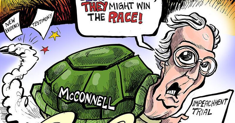 mitch mcconnell turtle shell