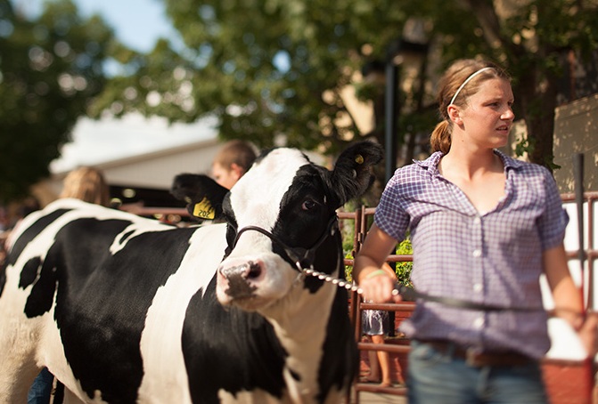 Travel: Wisconsin State Fair
