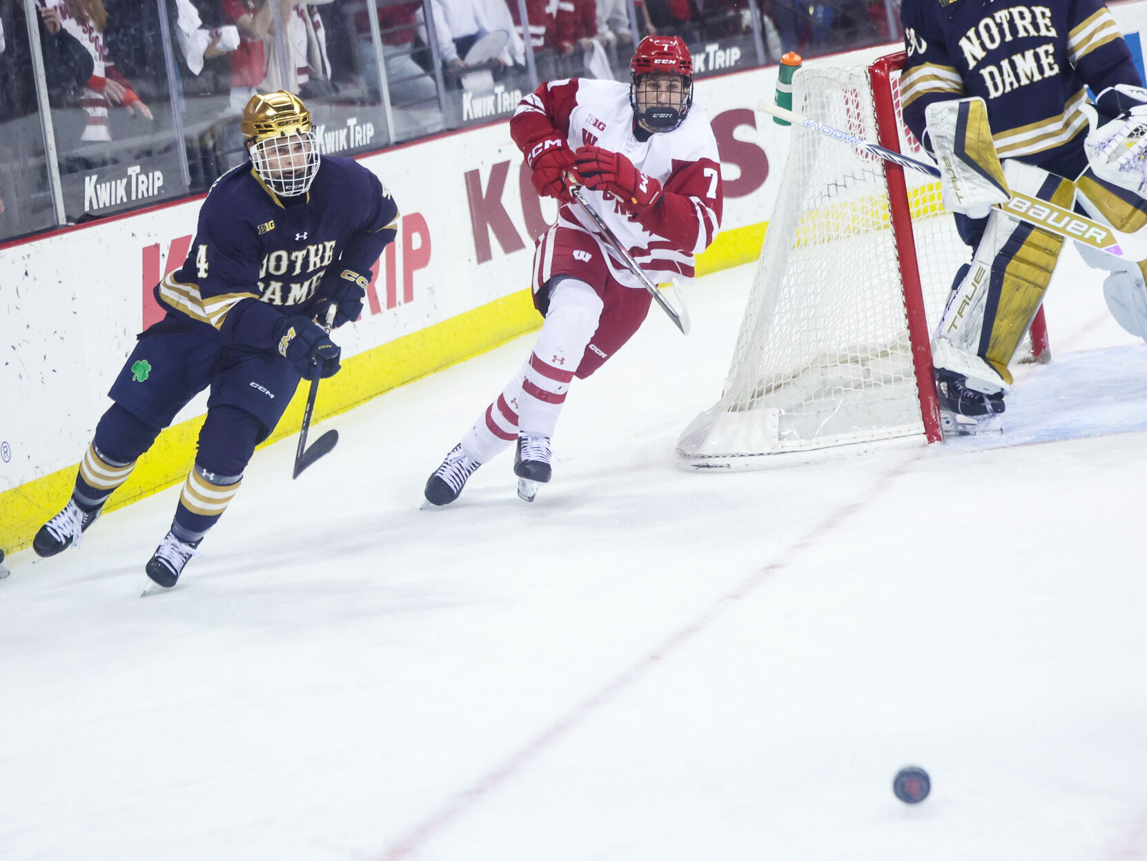 Where Wisconsin men's hockey stands in preseason rankings
