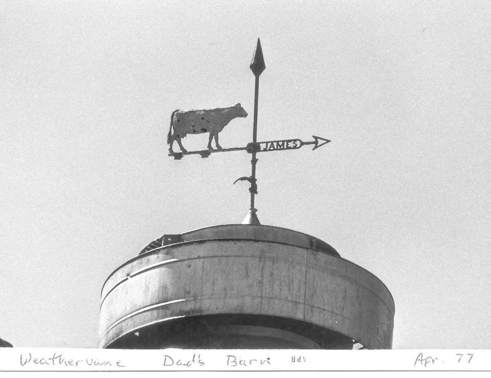 Iowa County family's cherished weather vane disappears from yard