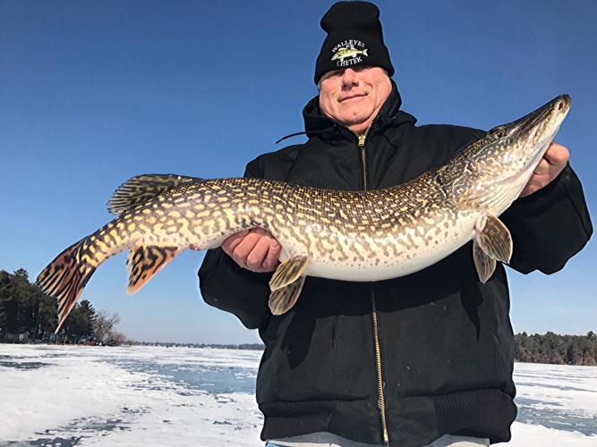 Patrick Durkin: One man's bounty of northern pike is another man's envy