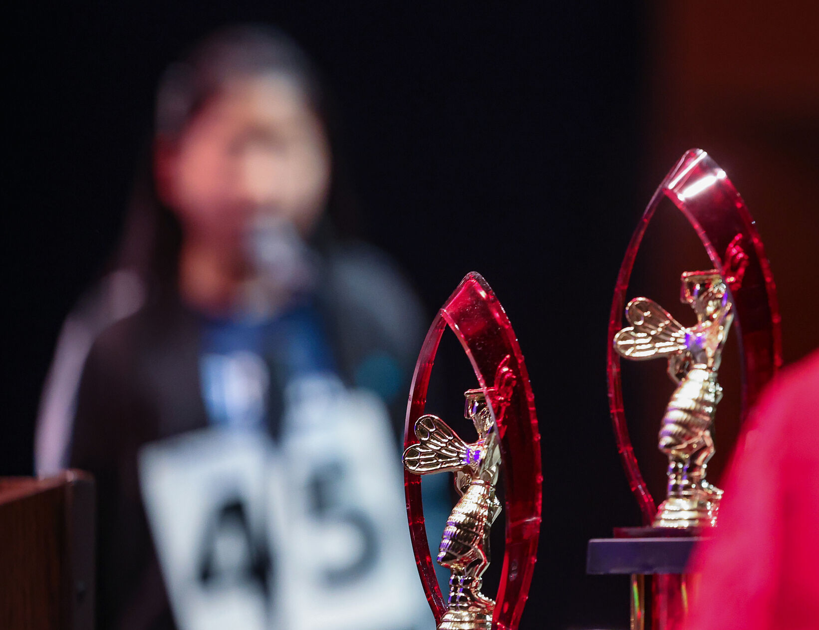 Wisconsin has two new top spellers in the state bee