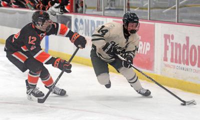 Madison ice arena plan good for youth, recreation, taxpayers