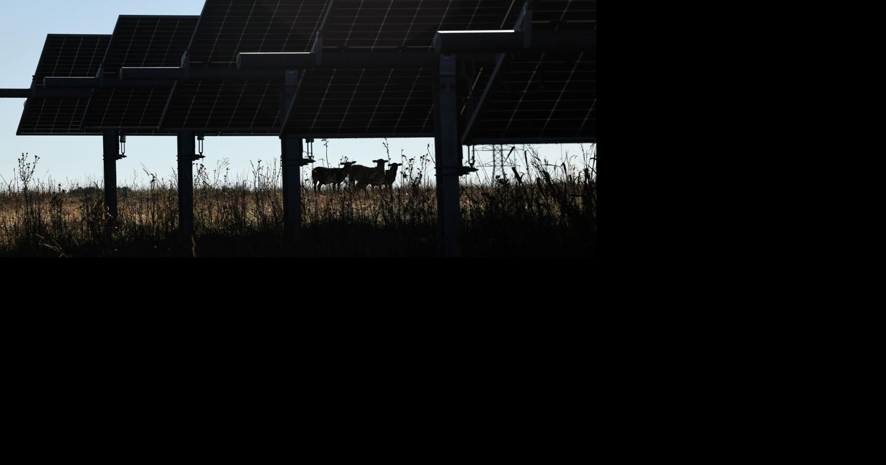 Vista Sands solar farm deserves PSC approval in Wisconsin
