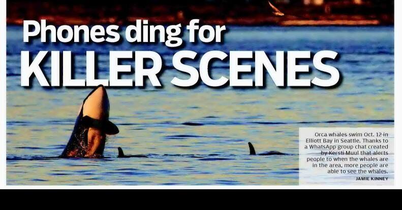 Phones ding for KILLER SCENES