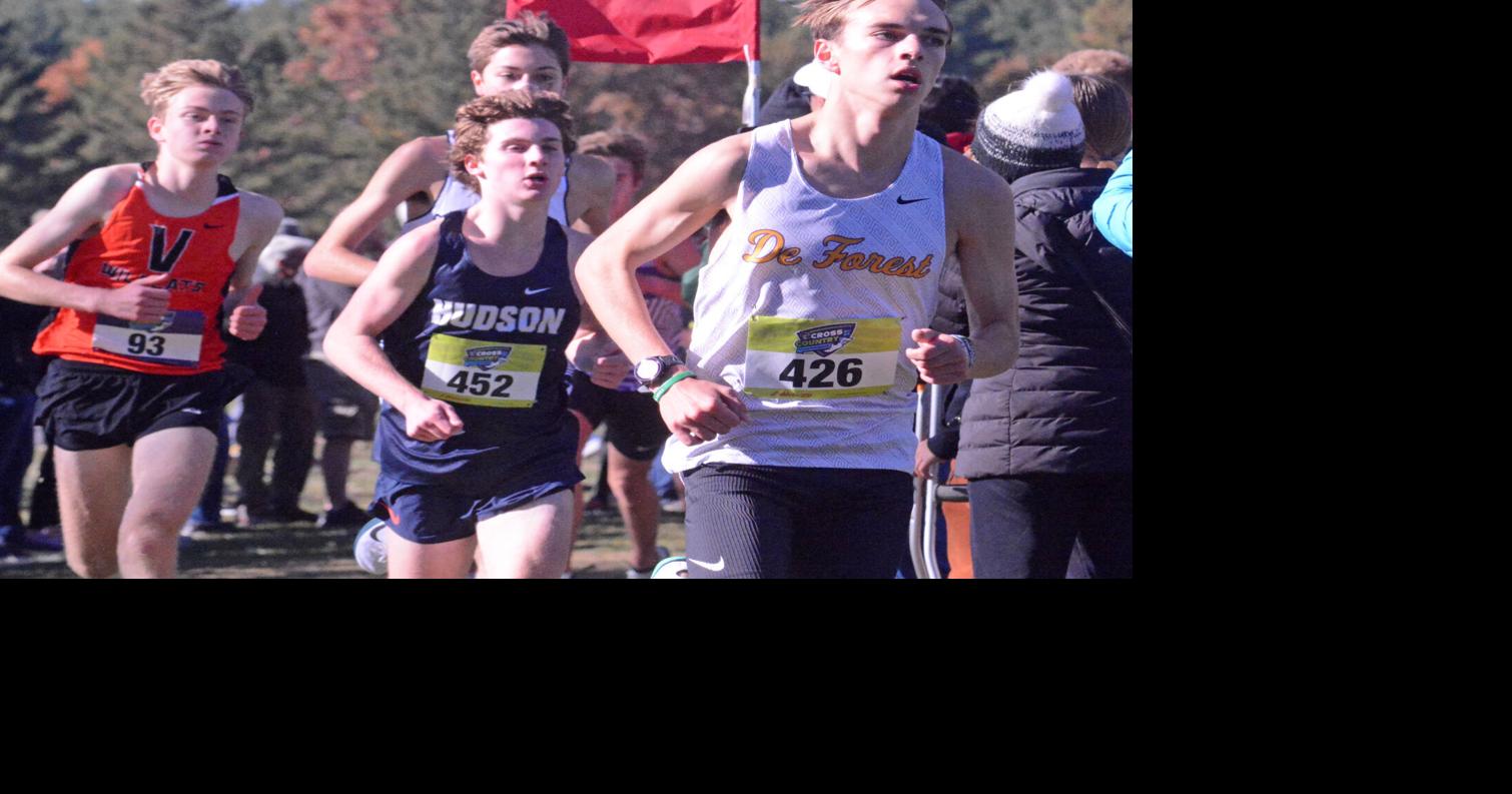 Madison area trio reaches state boys cross country podium