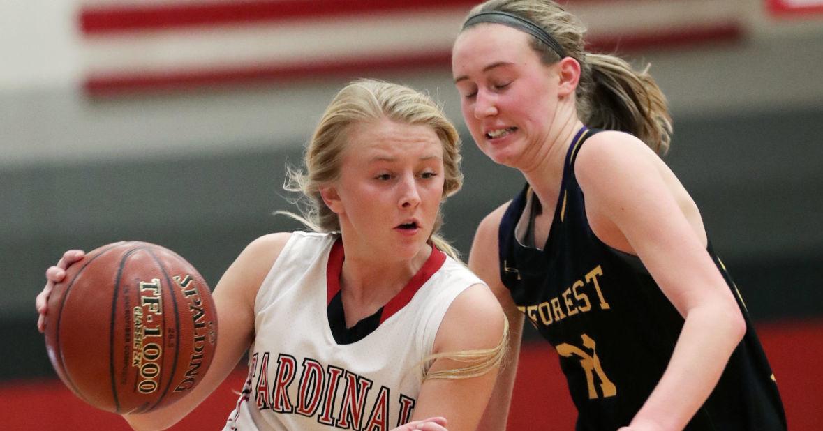 WBCA All-Star girls basketball: Sun Prairie's Grace Hilber wraps up a ...