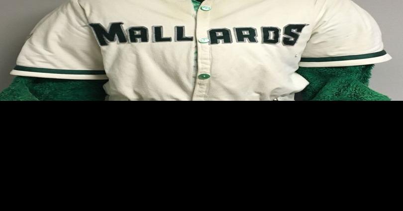 Know Your Madisonian: Mallards 'Maynard' got start as Spartans' mascot