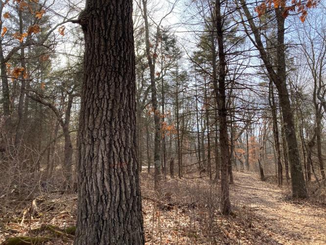 Leopold Week nurtures reciprocity with Delia Owens, Robin Wall Kimmerer ...