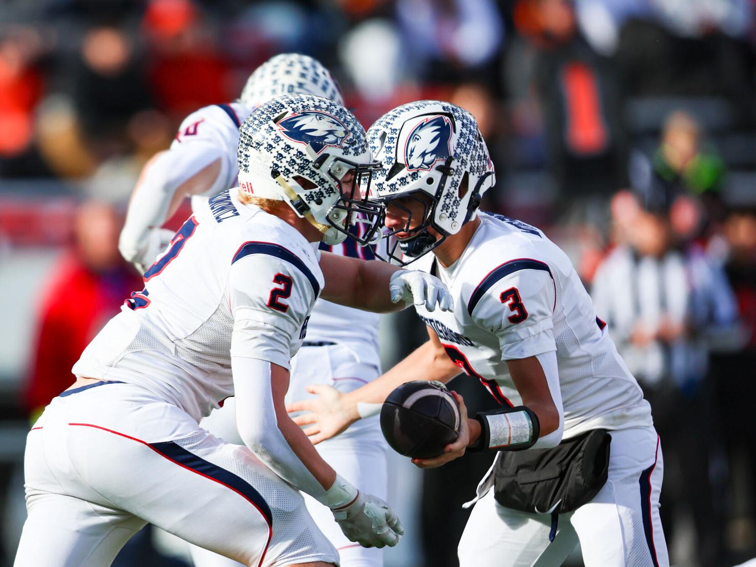 Reedsburg falls to Grafton in WIAA Division 3 title game