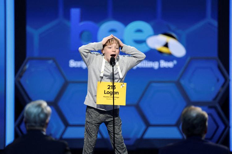 Spelling bee champions need supporters