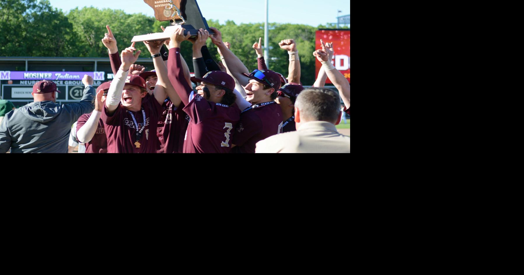 Madison Edgewood baseball wins Division 2 state championship