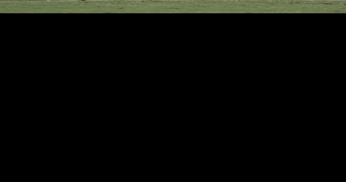 Tyler Marz, Tennessee Titans