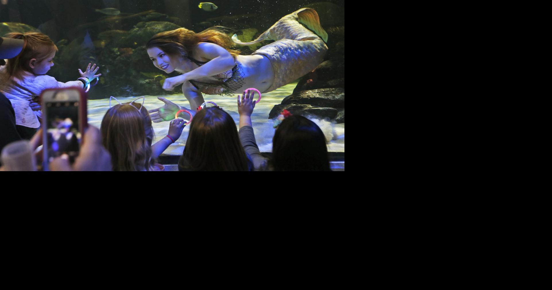 Photos: Aquarium mermaids promote the sea, conservation | National News ...