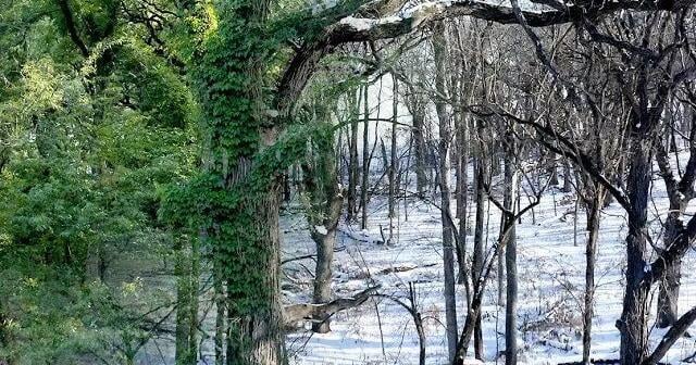 Madison, Wisconsin, weather at a glance