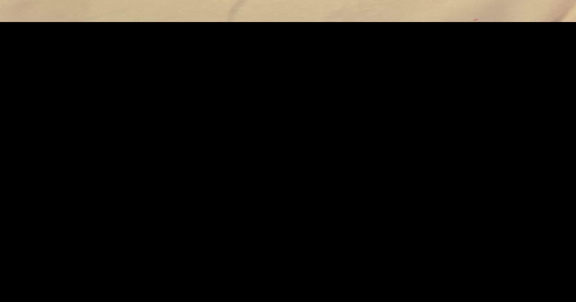 Rossmeissl, Catherine Annabelle "Anne" (née Bowers)