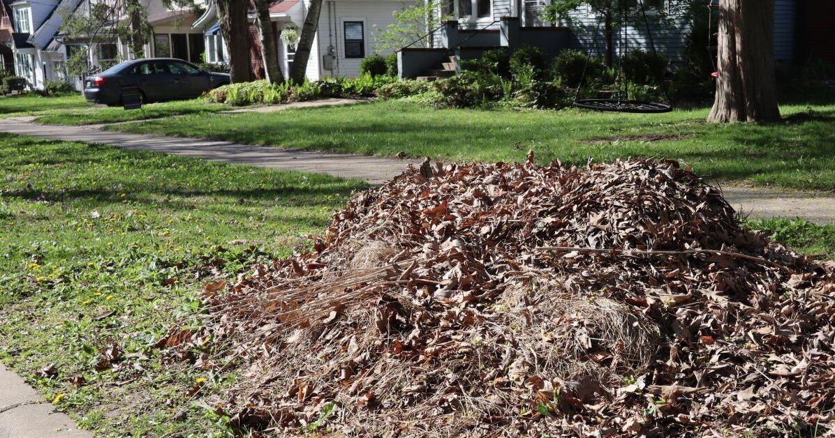 Madison Yard Waste Pickup