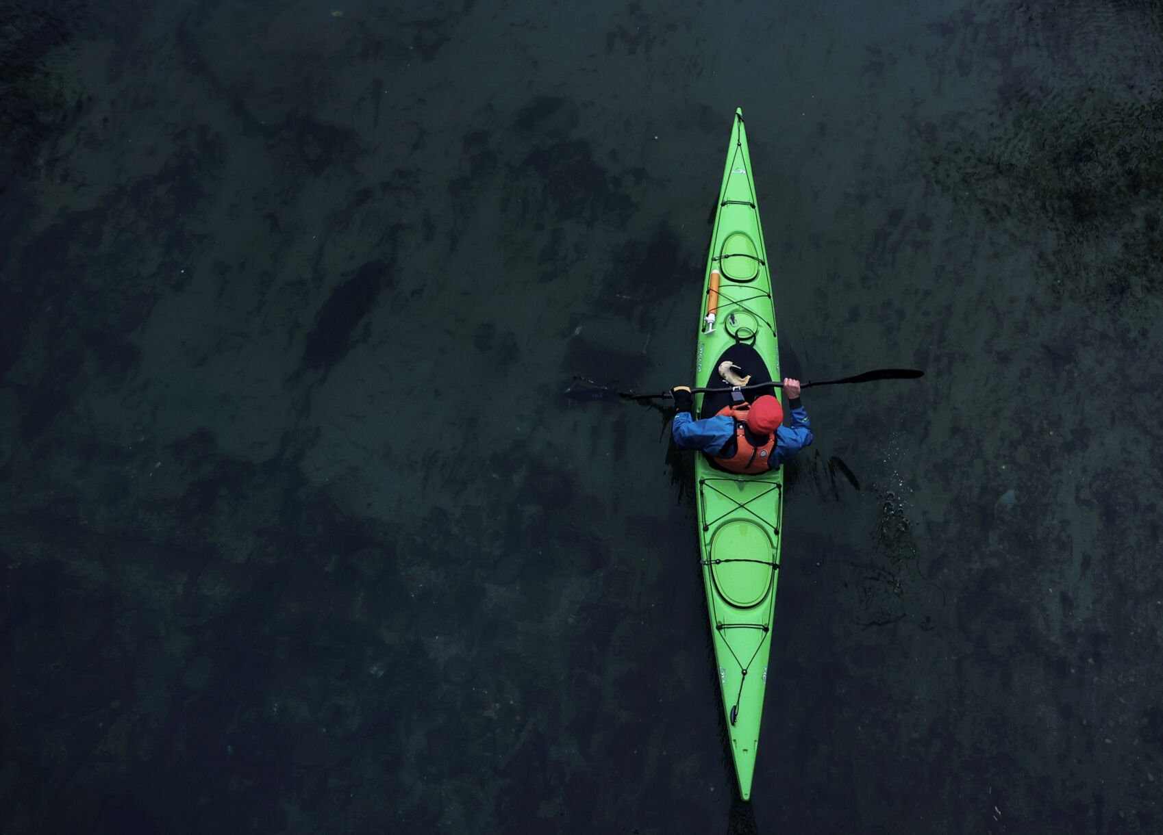 Photo of the day: Arctic chill