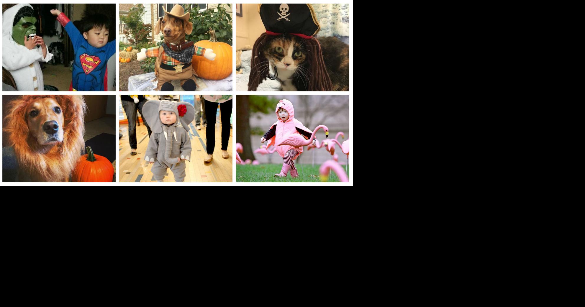Photos: Wisconsin's cutest Halloween costumes