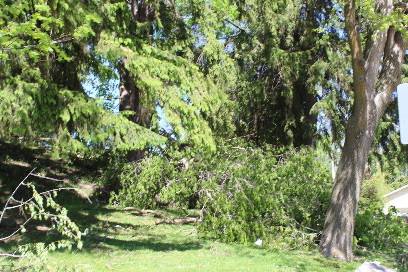 Wisconsin’s 38 tornadoes in 2025 are sixth-most since 1950