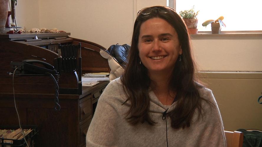 Blue Sky Science: How do you identify edible mushrooms?