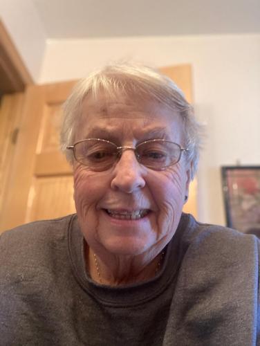 Candidate Q&A: Belleville Village Board