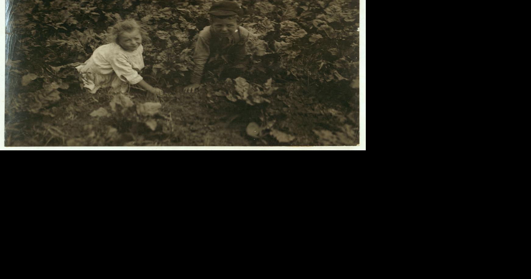 Pompous judge deserves spanking over child labor law -- State Journal ...