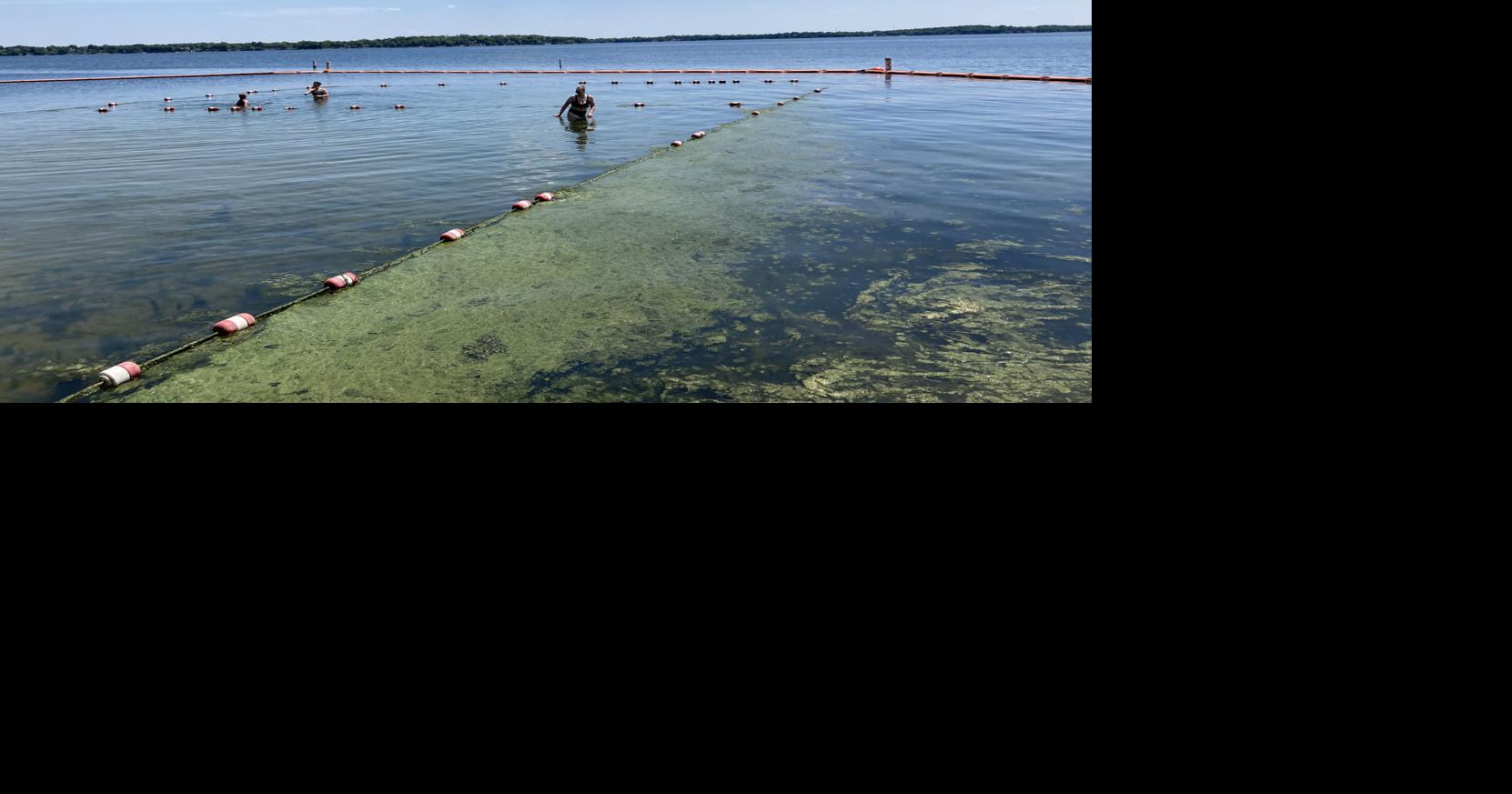 5 Madison-area beaches closed due to hazardous blue-green algae