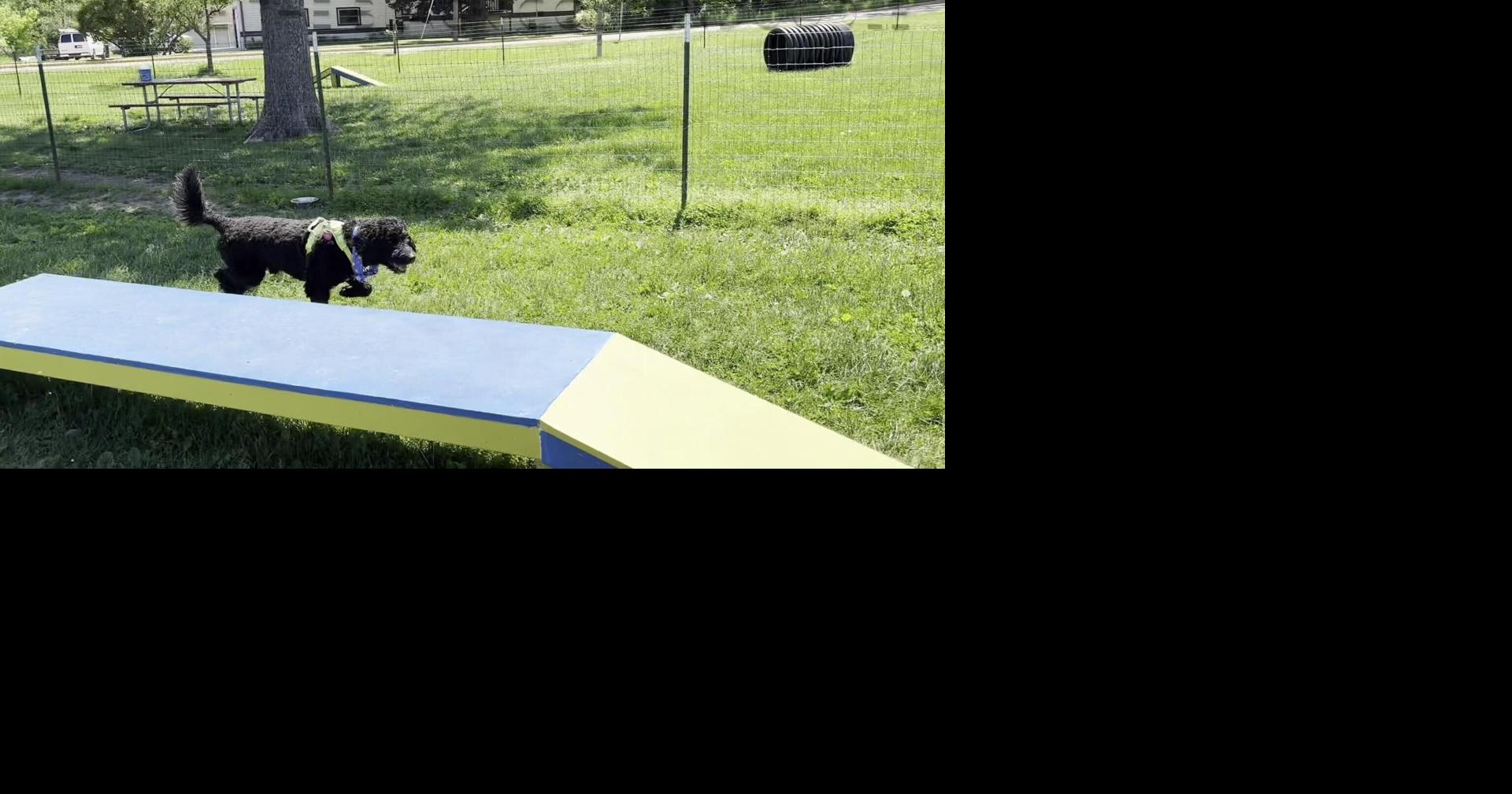 Pat Liston Dog Park additions