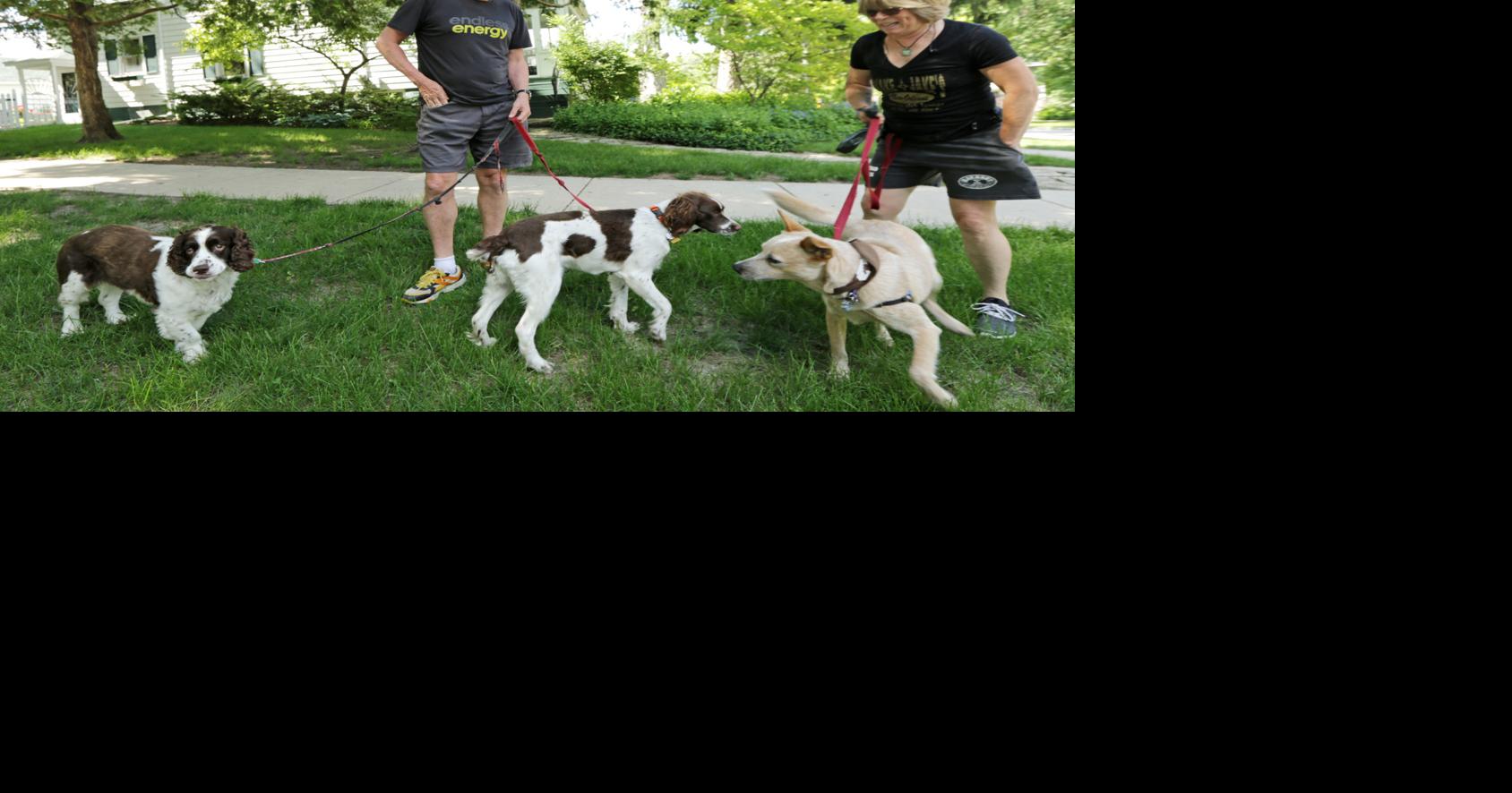 Rural residents more likely to be obese; Madison neighborhood deemed ...