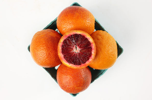 In Season: Blood oranges