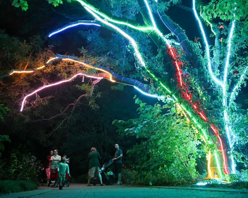 Photos: GLEAM returns to Olbrich Botanical Gardens