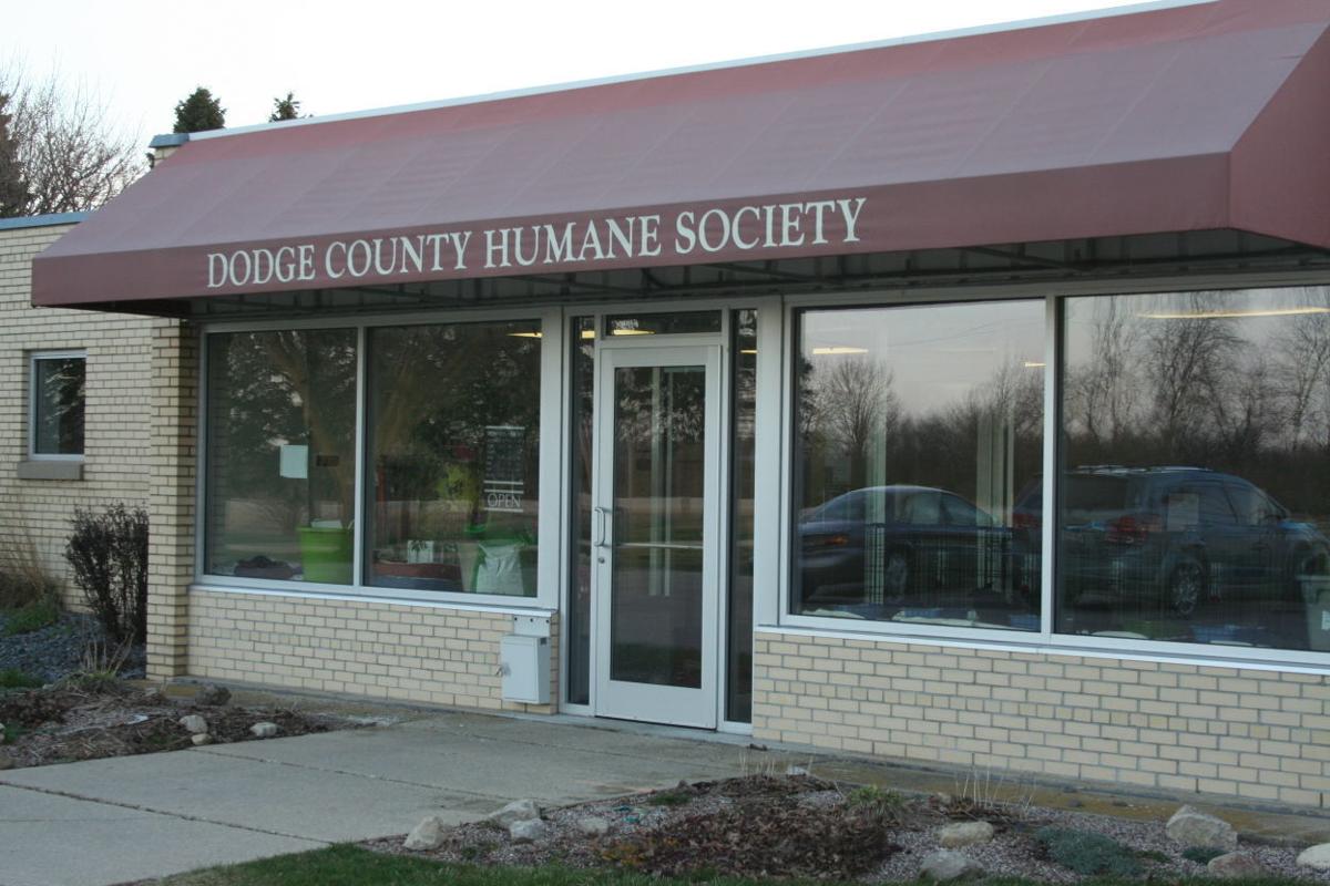 Humane Society brings in 15 stray dogs from Texas shelter