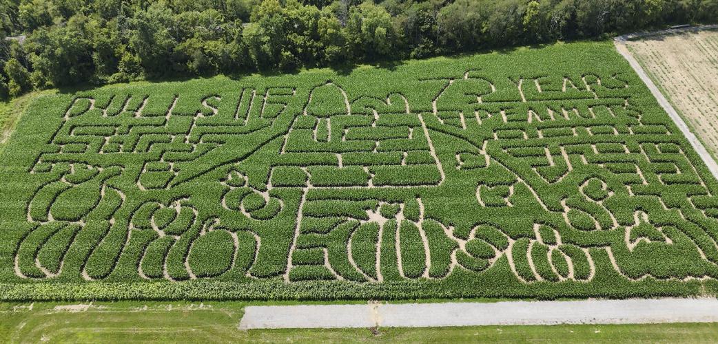 Farmers honor 'Peanuts' creatorSchulz with corn mazes