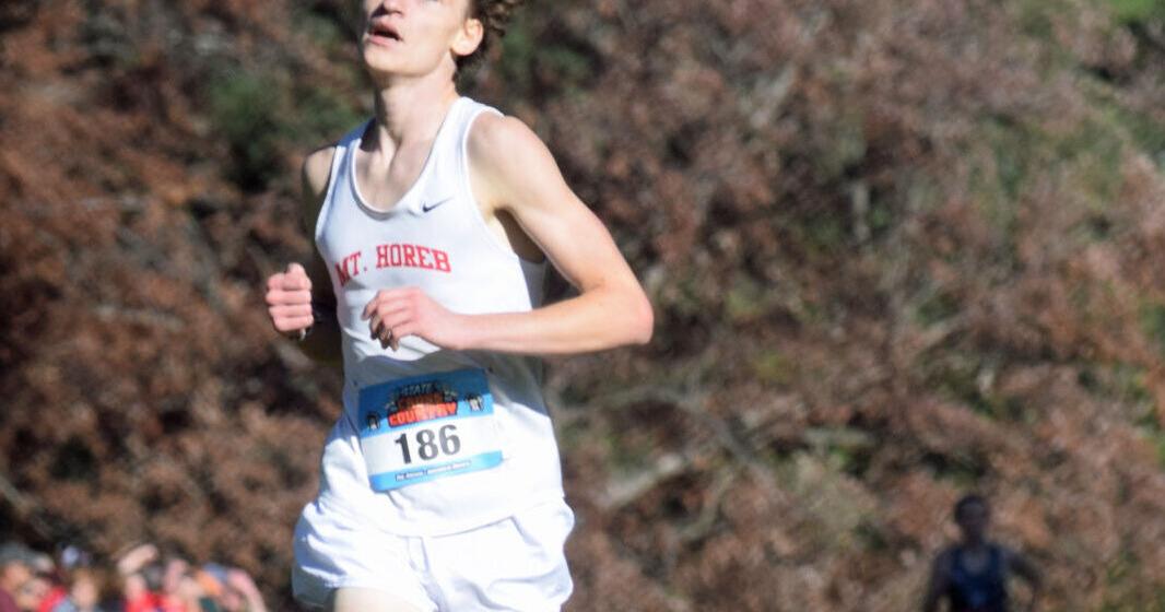 Meet the Wisconsin State Journal's All-Area boys cross country teams
